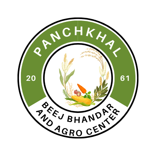 Panchkhal Beej Bhandar and Agro Center - Seeds for a Greener Tomorrow